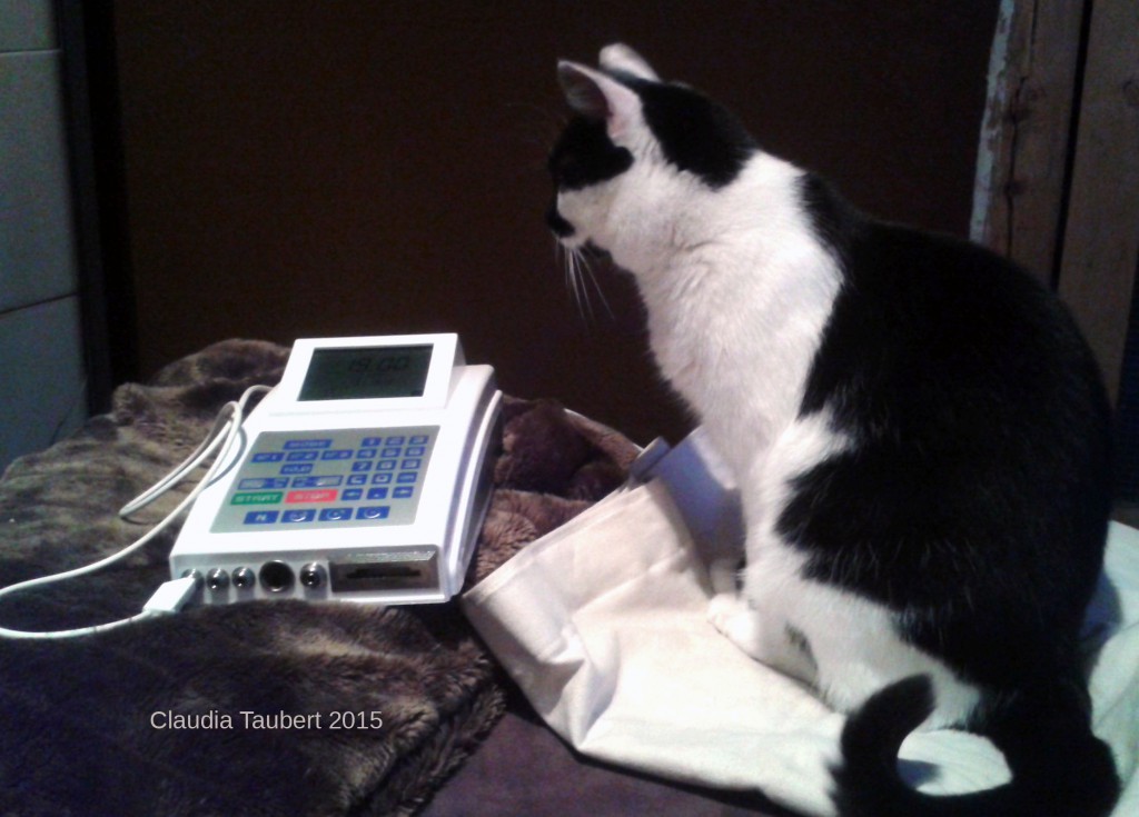 Bioresonanz und Radionik – Tierheilpraktikerin Claudia Taubert