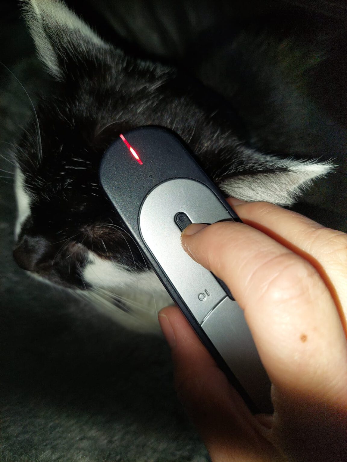 Beosigner von Vitarights – Tierheilpraktikerin Claudia Taubert